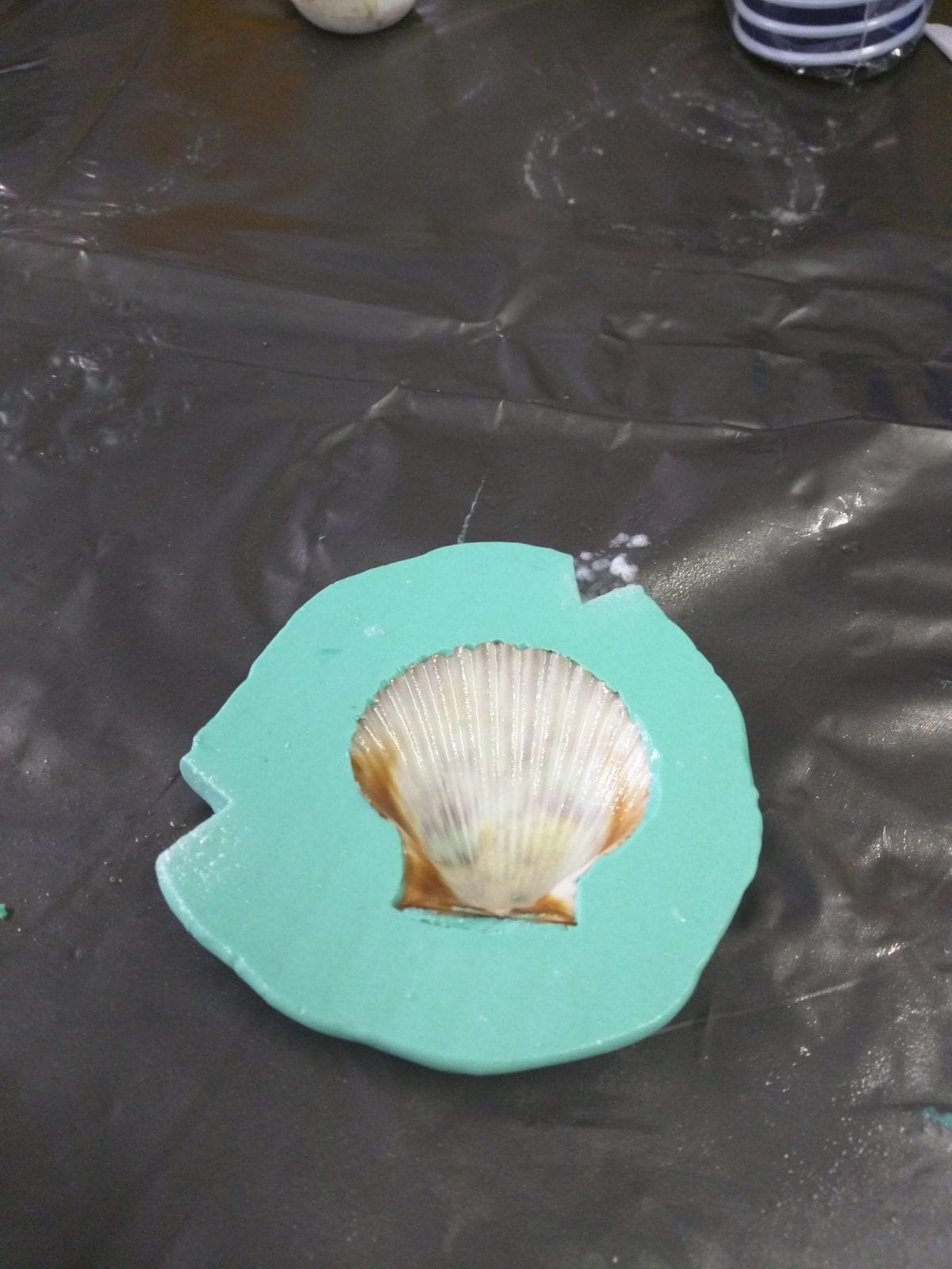 Silicone Putty Seashell Mold for Kids - Aeromarine Products Inc.